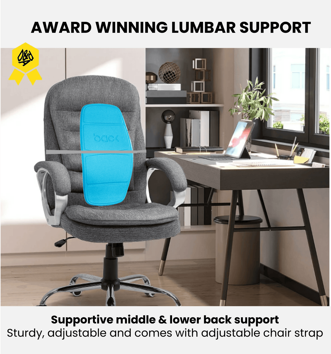 Backboard Classic - Award Winning, Fully Adjustable Lumbar Support ...
